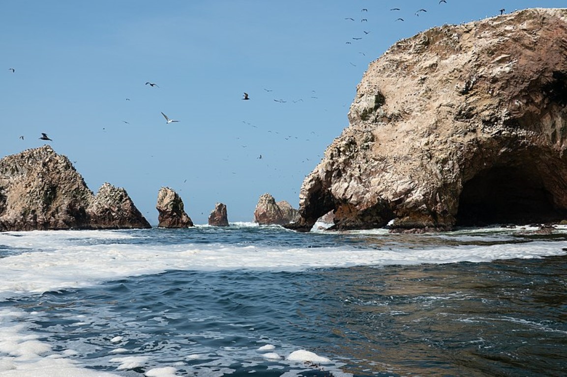 Exploring the Enchanting Paracas and Ballestas Islands - Bamba