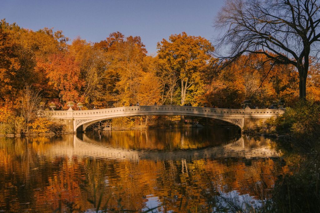 See the Real New York City: How to Live Like A Local - Baboo