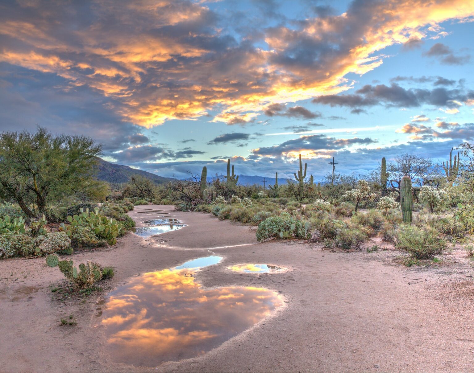 Creating the Ideal Relaxation Experience in Arizona - Bamba