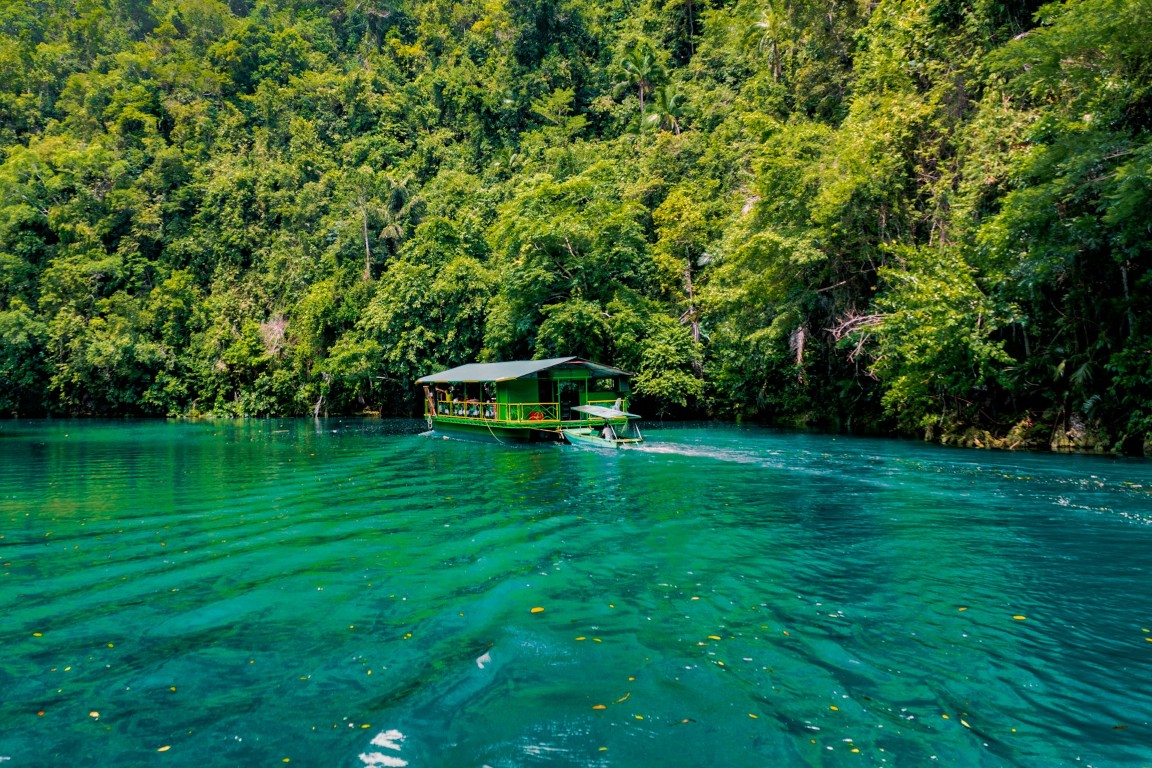 Bohol: A Guide to the Philippines' Natural Wonders - Bamba